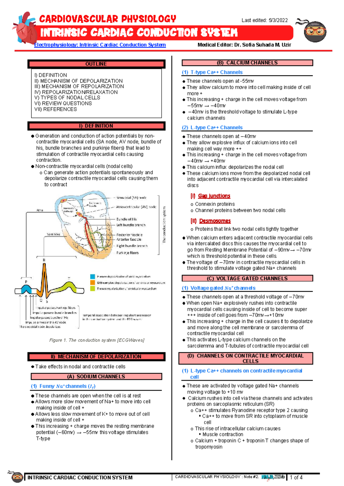 004 - Final Exam Notes on Intrinsic Cardiac Conduction System - Studocu