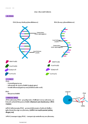 Genetyka molekularna - Notatka na podstawie podręcznika z nowej ery ...