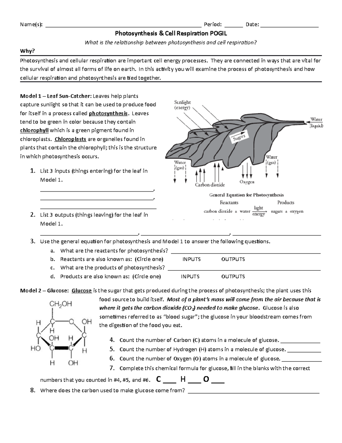 Pogil Photosynthesis Answer Key Lesson Plan | Modeling Photosynthesis