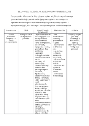 Plan opieki chirurgia urazowo ortopedyczna - PLAN OPIEKI PACJENTA NA ...