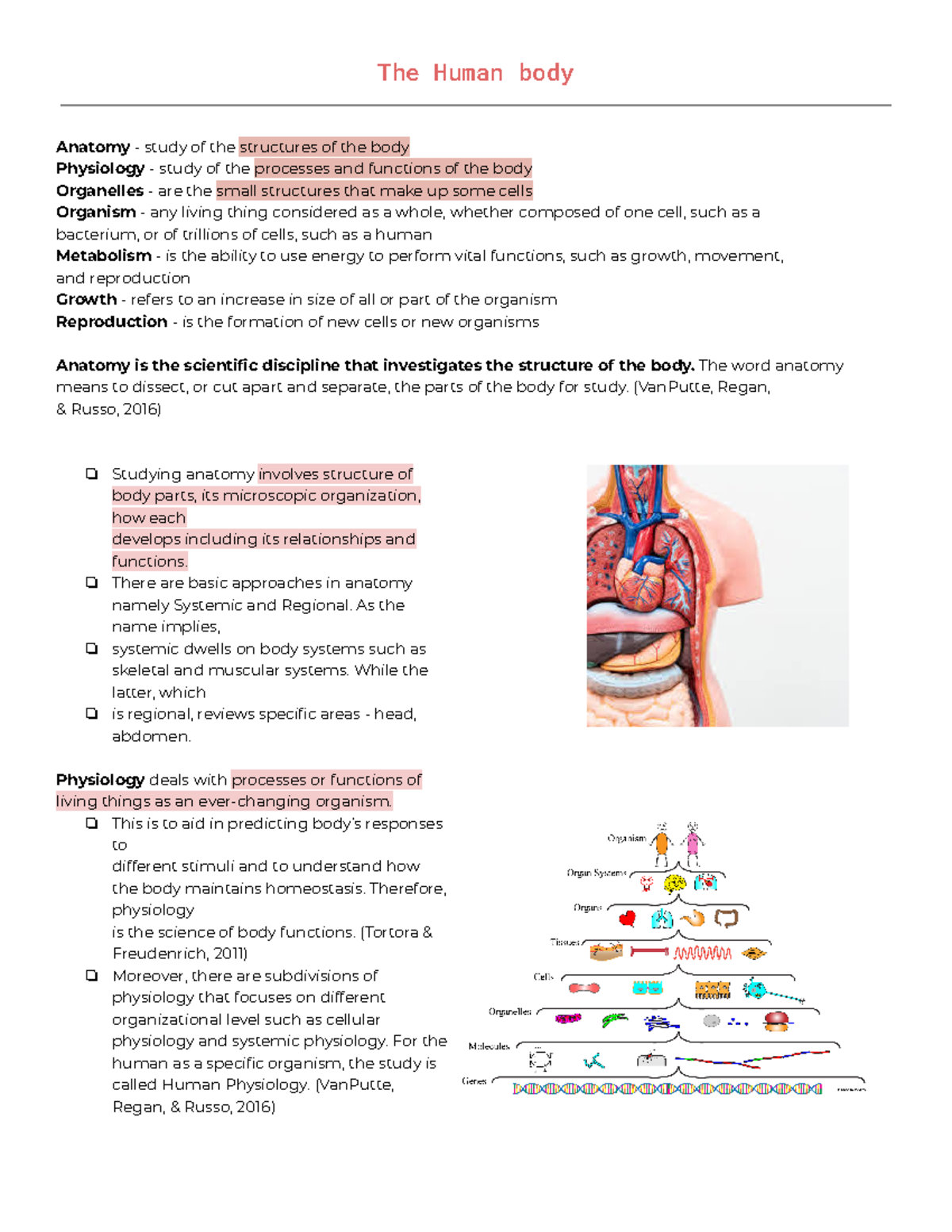 The Human body( Anaphylec) - The Human body Anatomy - study of the ...