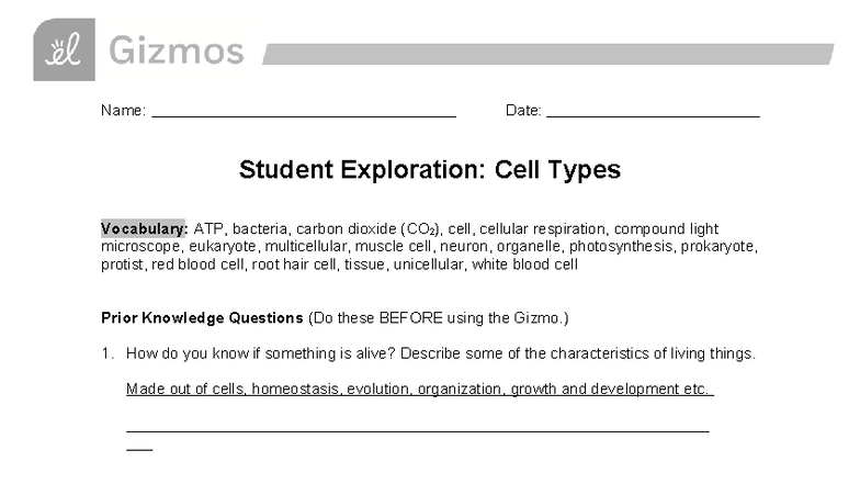 Cell Types Gizmos: Exploring Eukaryotic and Prokaryotic Cells - Studocu
