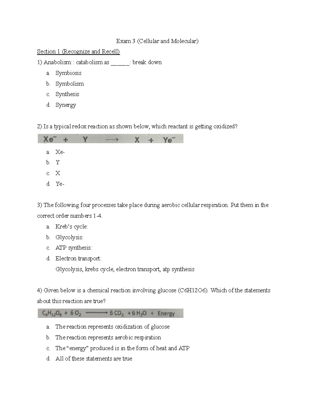 Exam 3: Cellular and Molecular Biology - Studocu