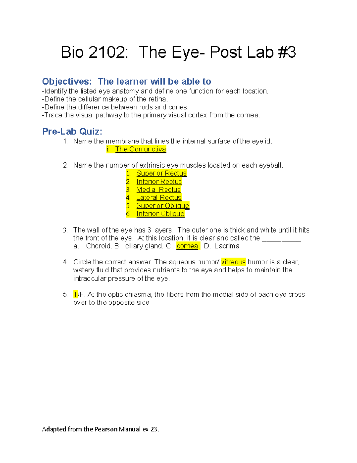 Bio 2102: Post Lab #3 - Eye Anatomy and Functions Quiz - Studocu