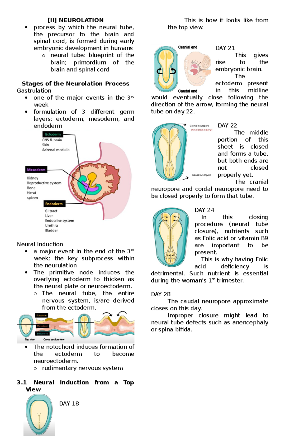 Physio- Psych Structure-of-the-NS-and-Neurolation - [II] NEUROLATION ...