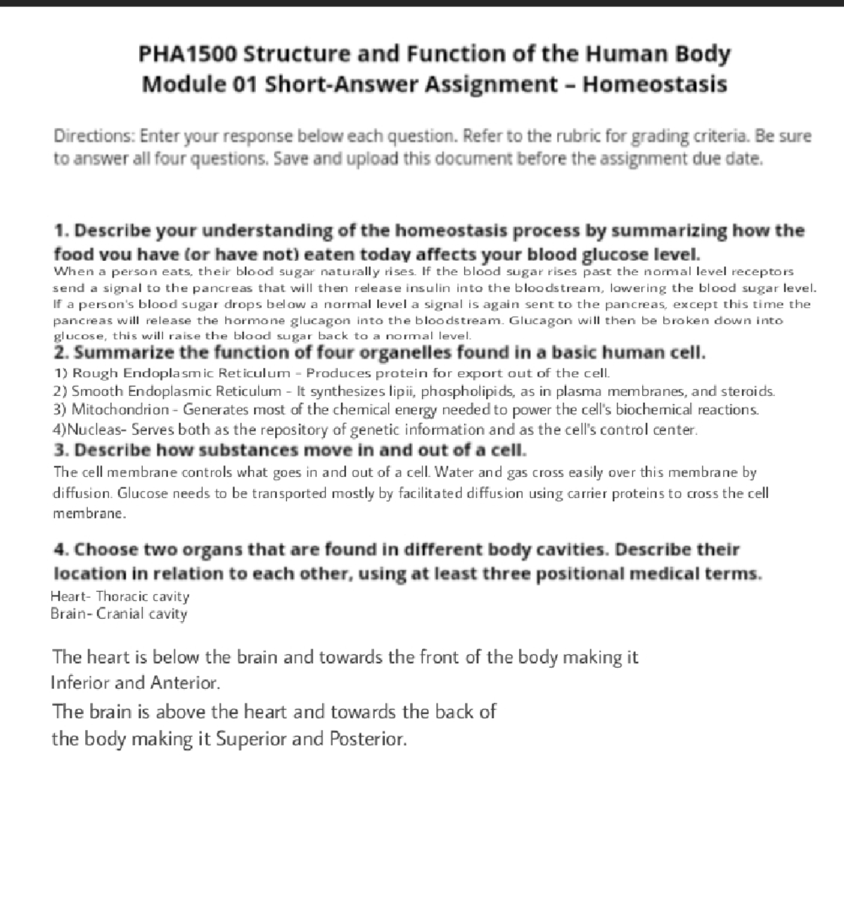 Jchavez module 01shortanswer 100824 - PHA1500 Structure and Function of ...