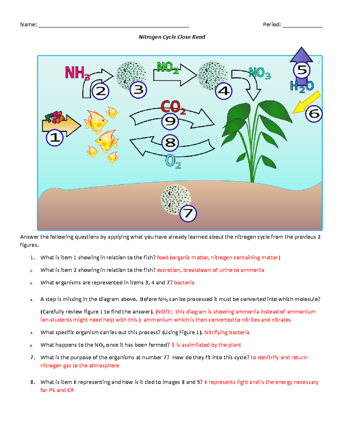 Nitrogen Cycle Close Read #1 KEY - Detailed Answers & Diagrams - Studocu