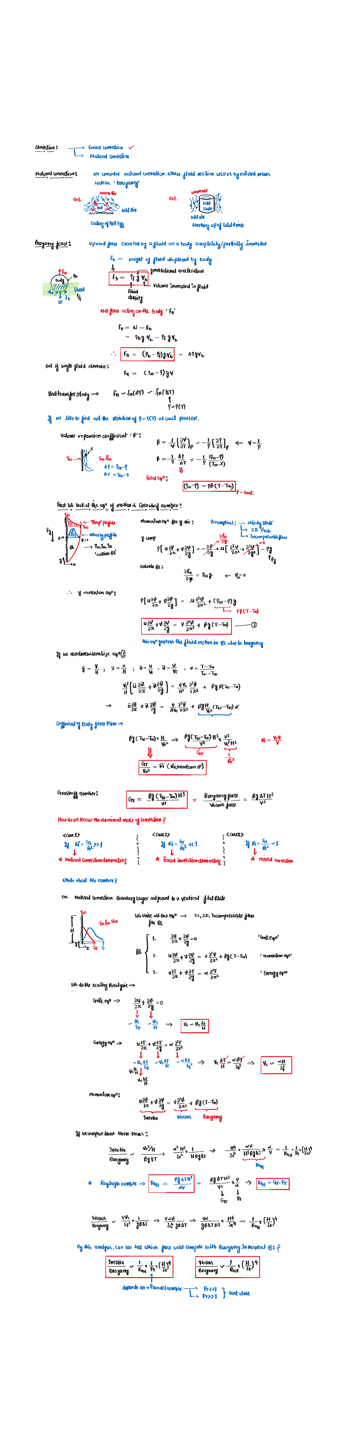 CLL251 Natural Convection Study Notes and Analysis - Studocu