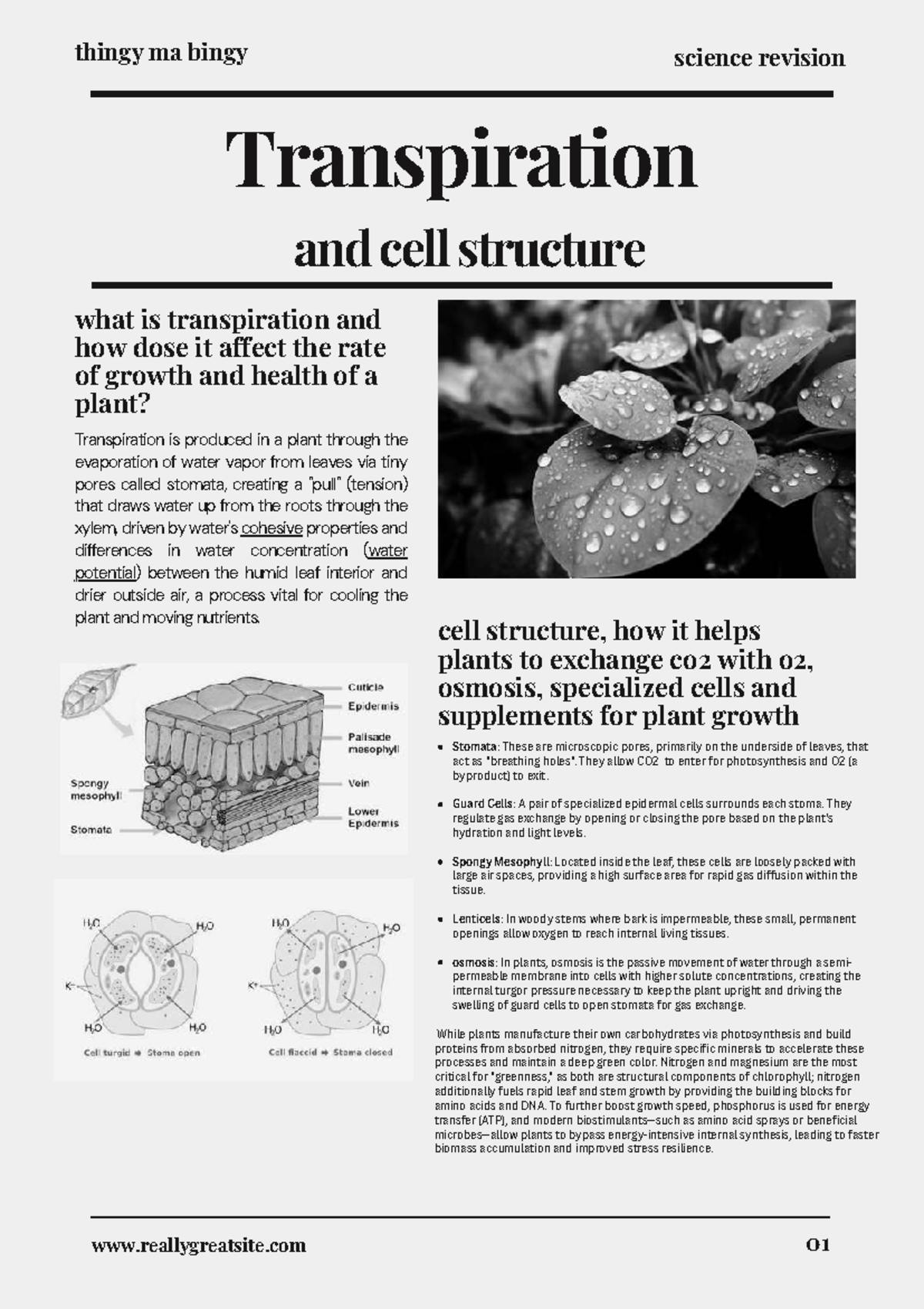 Biology Revision: Transpiration & Cell Structure Insights - Studocu