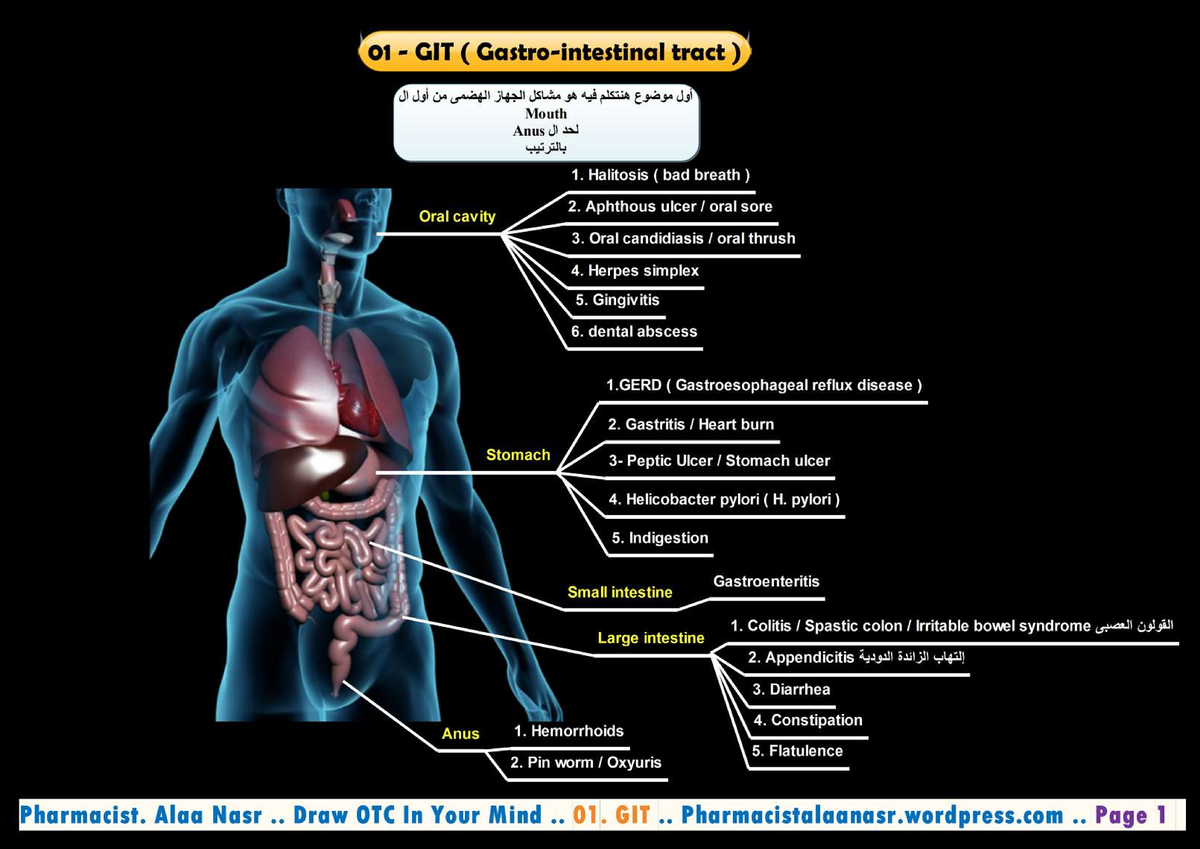 01 GIT: Comprehensive Overview of Gastrointestinal Disorders and ...