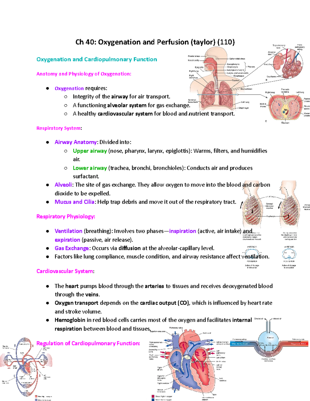 Ch 40: Oxygenation and Perfusion Insights - Key Concepts & Nursing Care - Studocu
