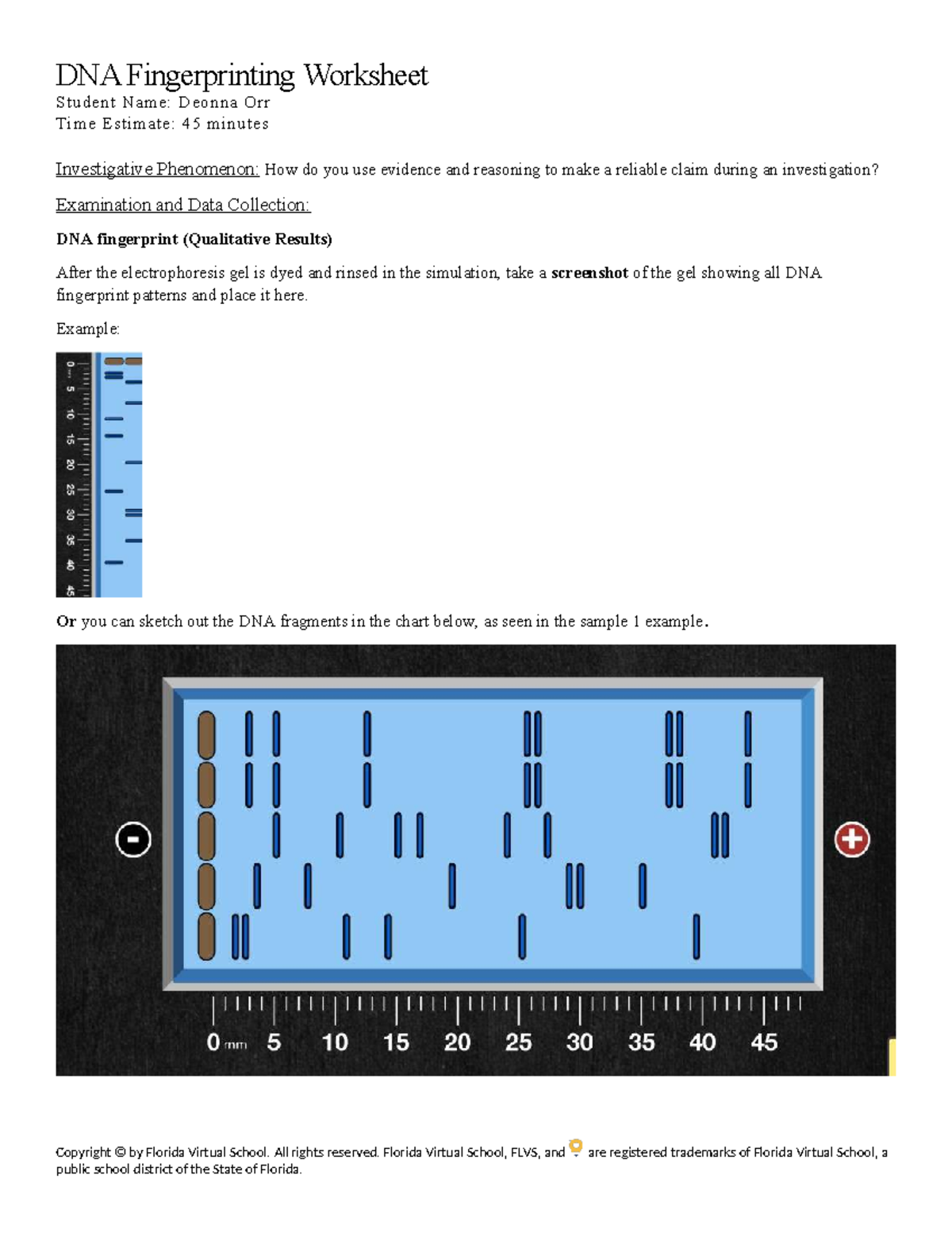 Dna Fingerprinting Forensics Worksheet