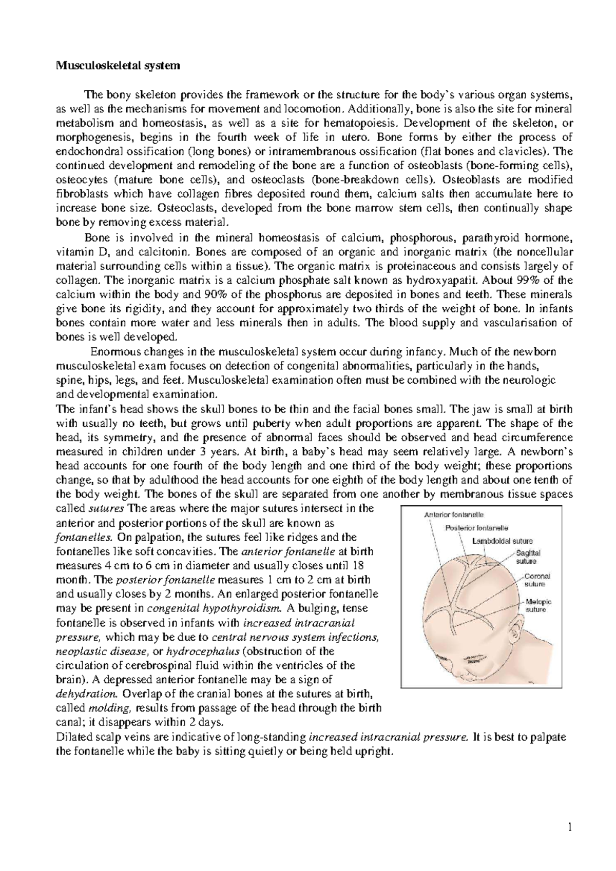 Musculoskeletal System Overview: Development and Examination Notes ...