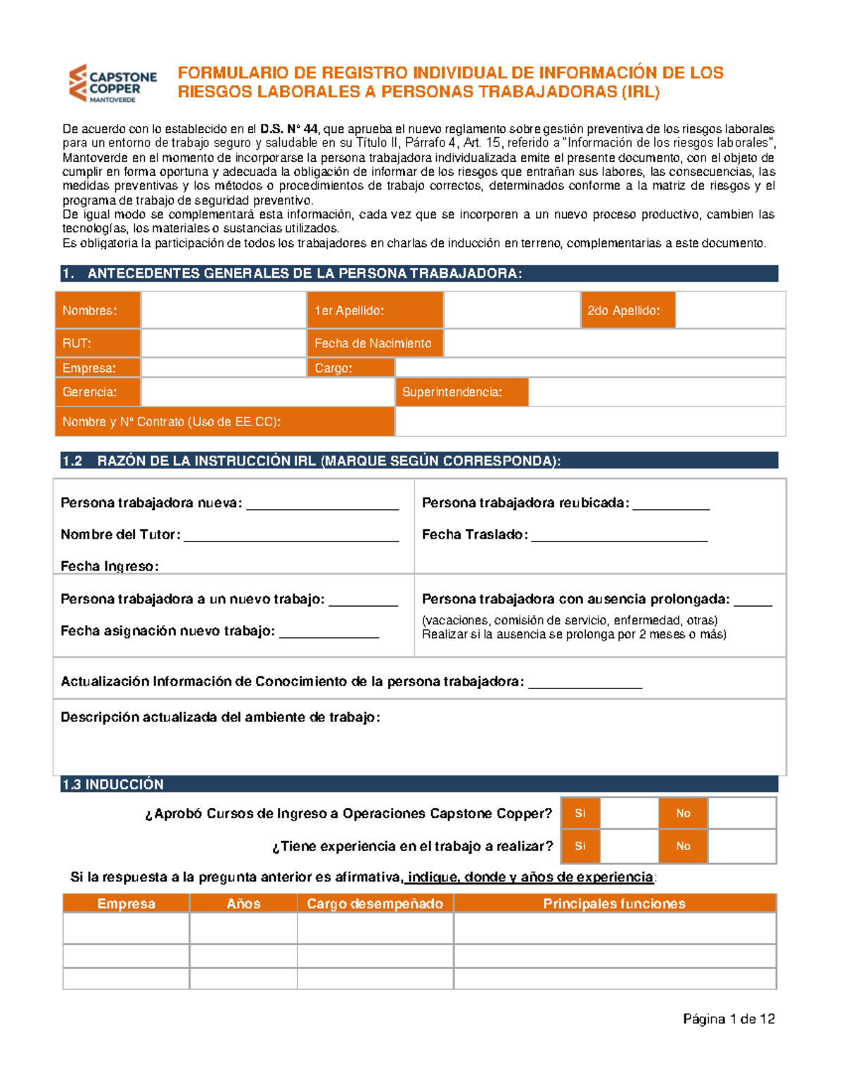 Anexo 27-IRL: Formulario de Registro de Riesgos Laborales en Mantoverde ...