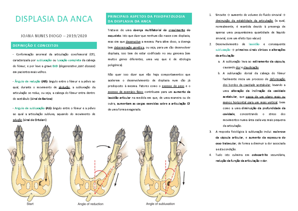 Displasia-DA-ANCA - Displasia de Anca - Resumo e Diagnostico; Criterios ...