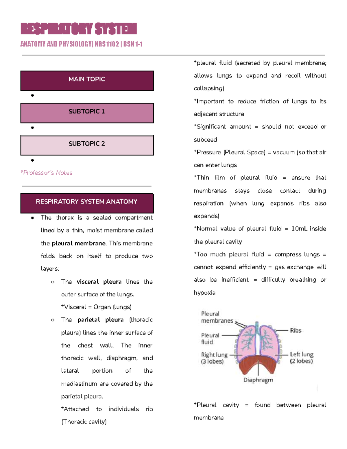 Respiratory System Anatomy and Physiology Notes - NRS 1102 BSN - Studocu