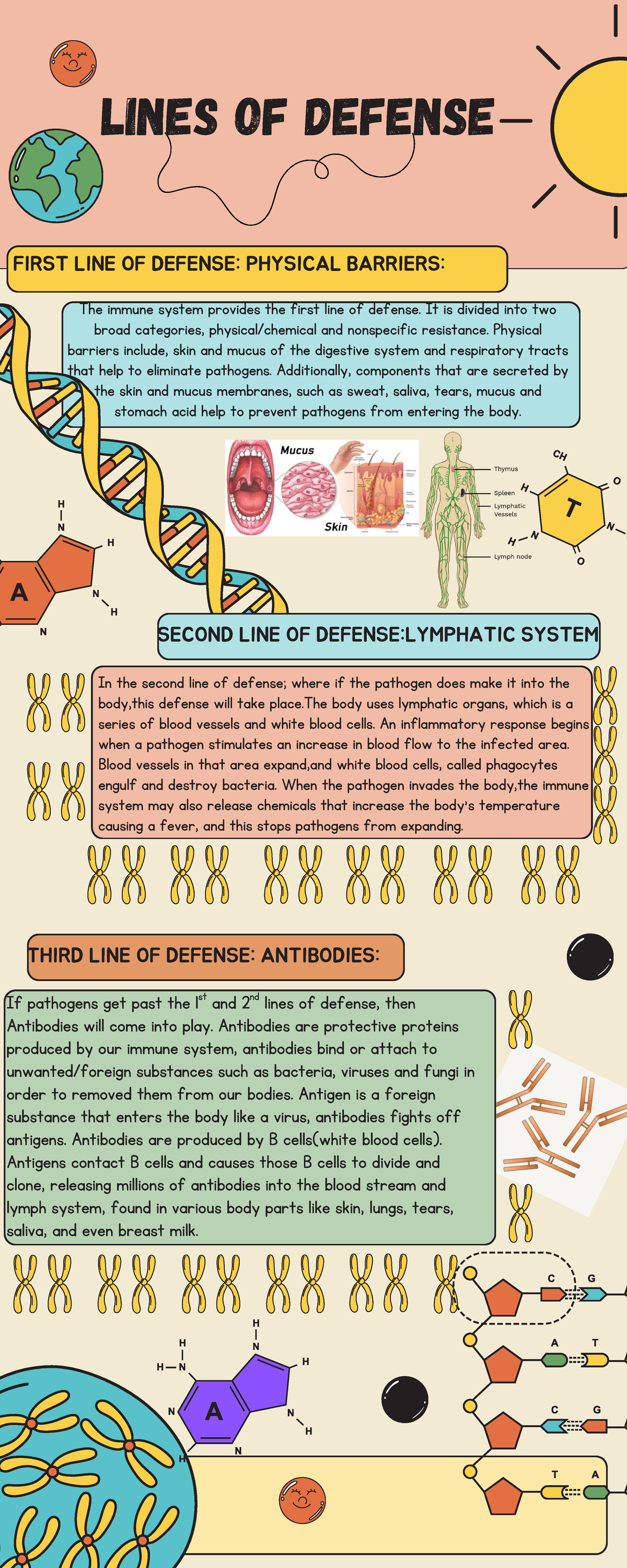 BIO 101: Lines of Defense in the Immune System Infographic - Studocu