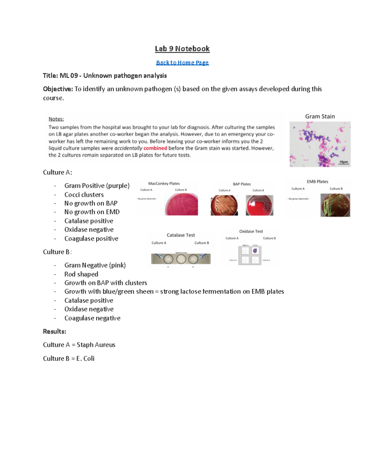 LAB 9 - Lab module 9 - Lab 9 Notebook Back to Home Page Title: ML 09 ...