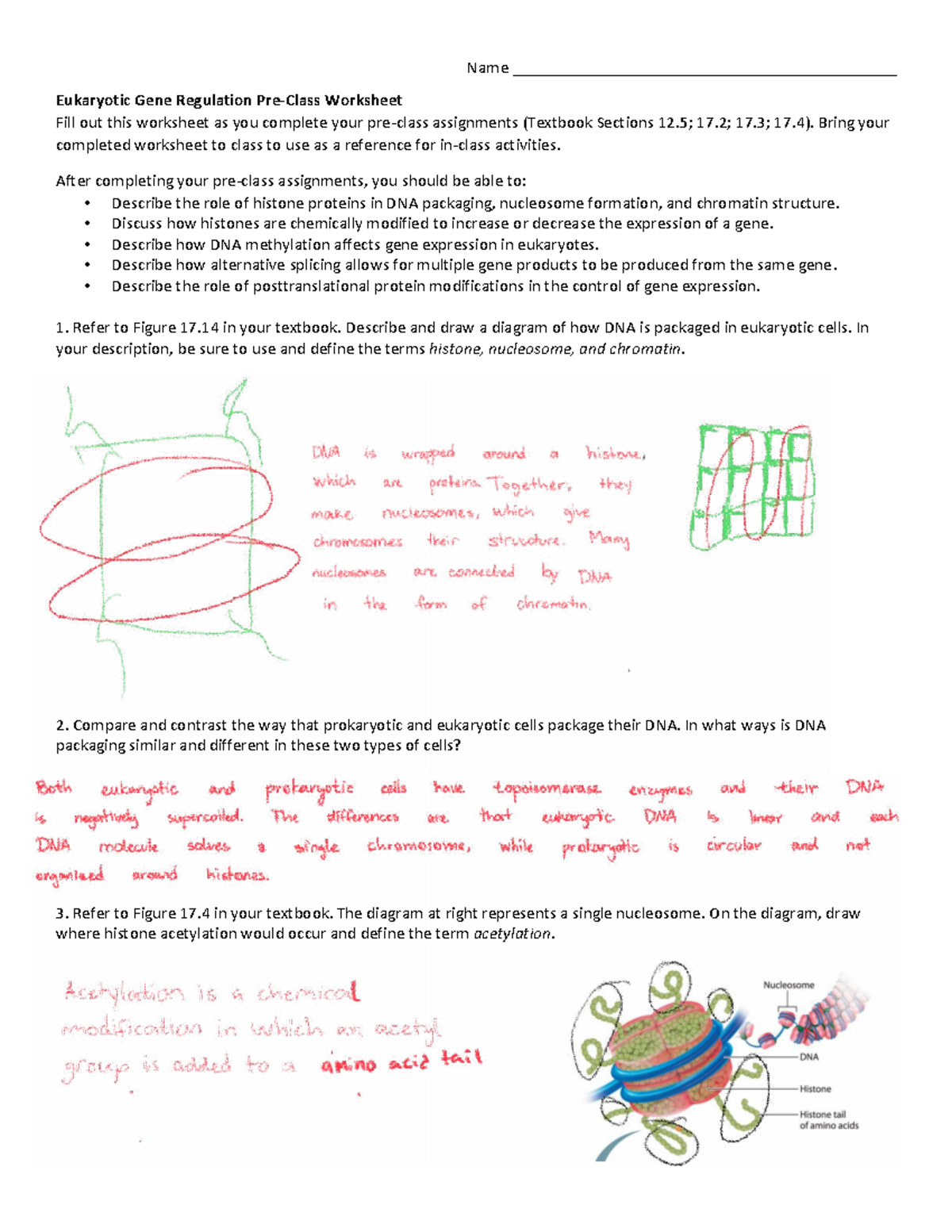 Week 7b Pre-Class Reading Guide: Eukaryotic Gene Regulation Worksheet ...