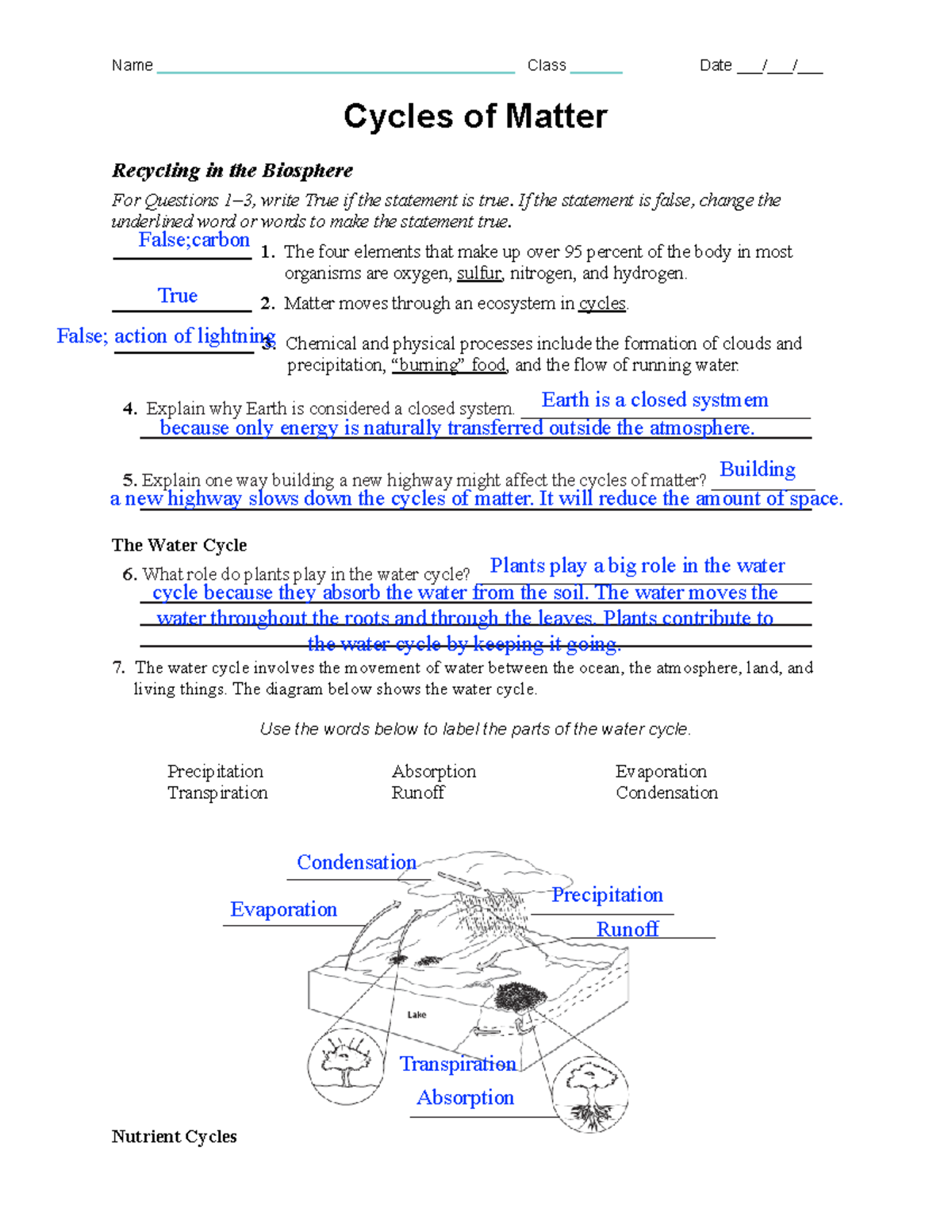 Cycles of Matter Worksheet for Environmental Science (ESCI 101) - Studocu
