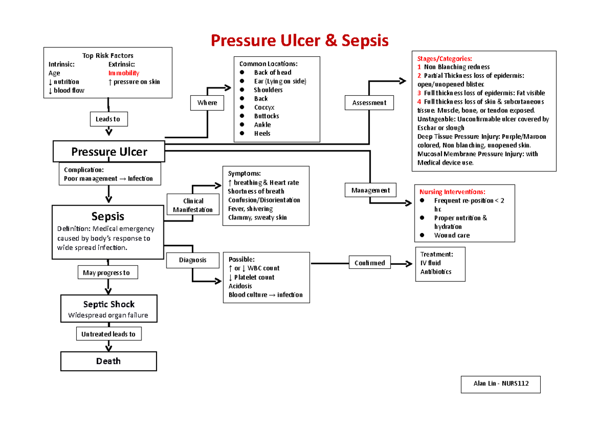Concept Map- Pressure Ulcer & sepsis - Pressure Ulcer & Sepsis Top Risk ...