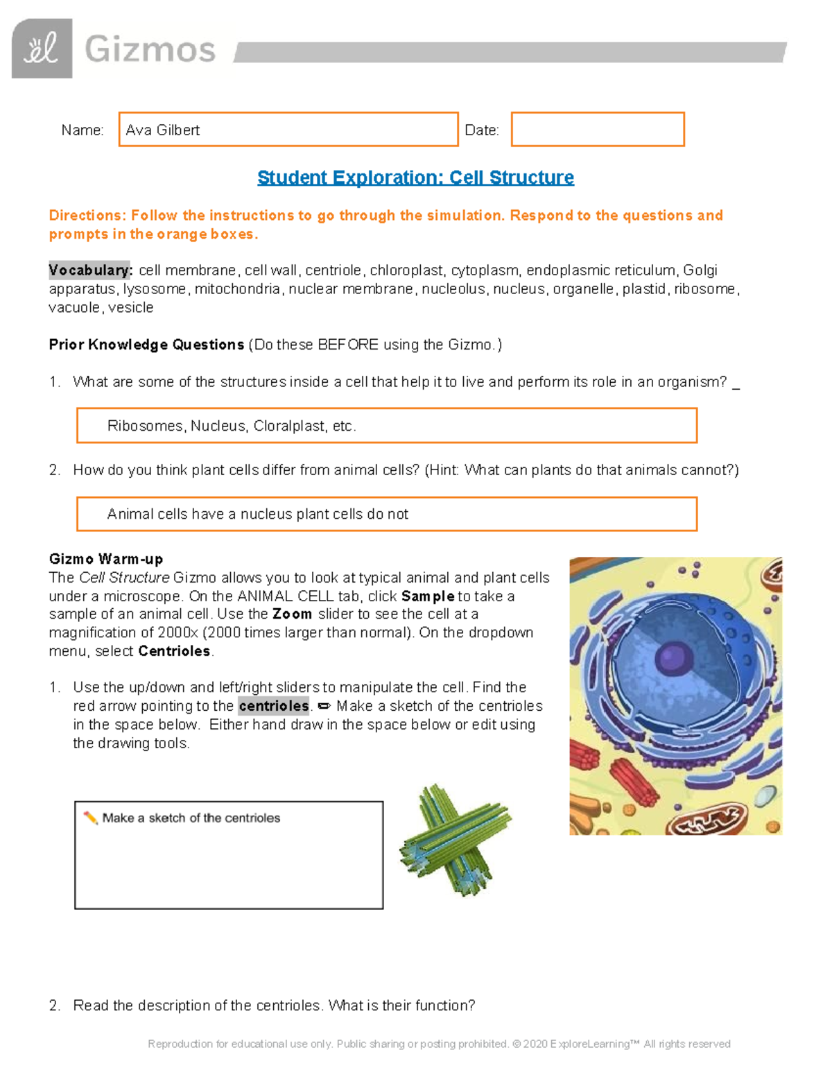 Student Exploration: Cell Structure Gizmo Data Sheet Guide - Studocu