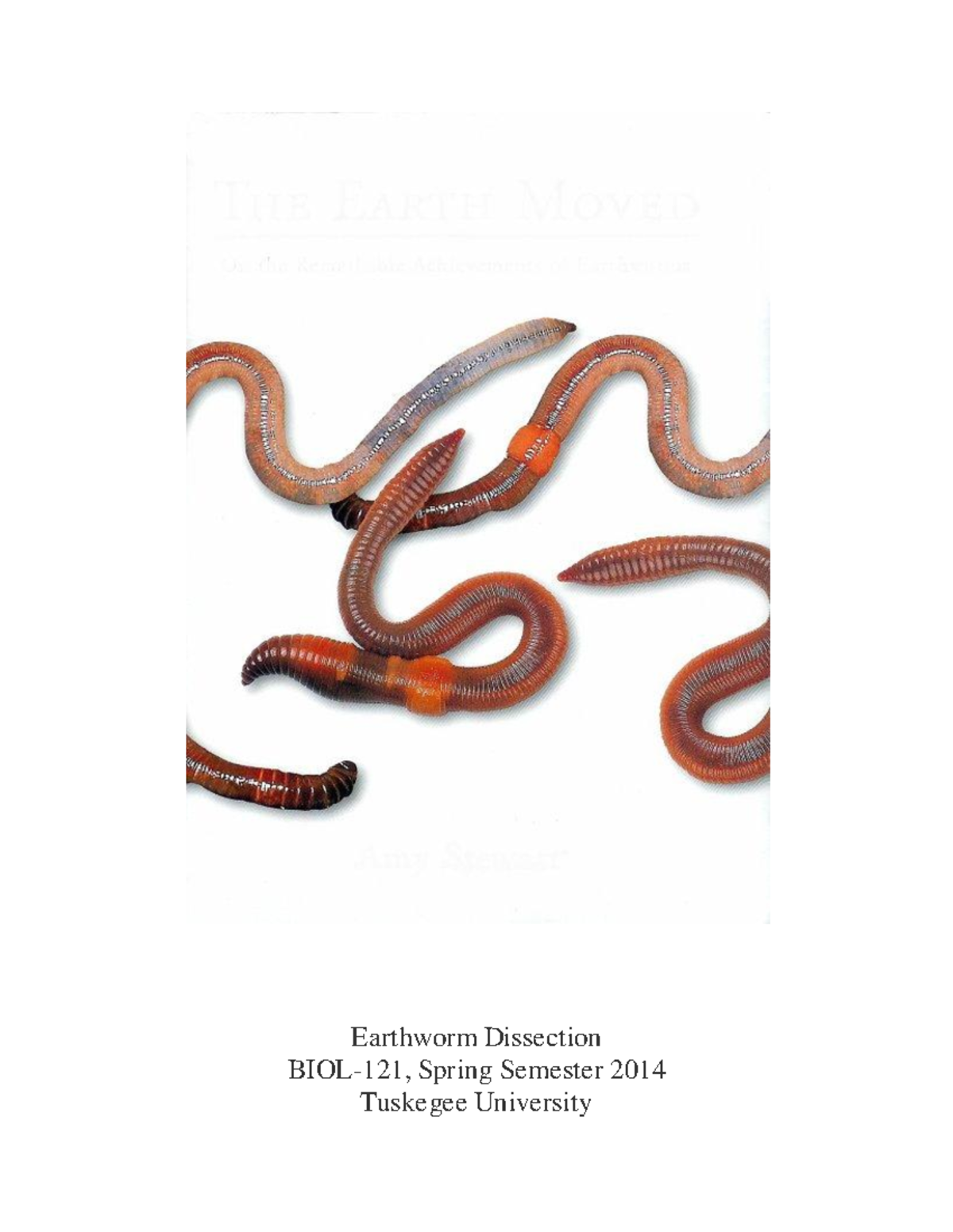 Earthworm Dissection Lab Report - BIOL-121, Spring 2014 - Earthworm ...