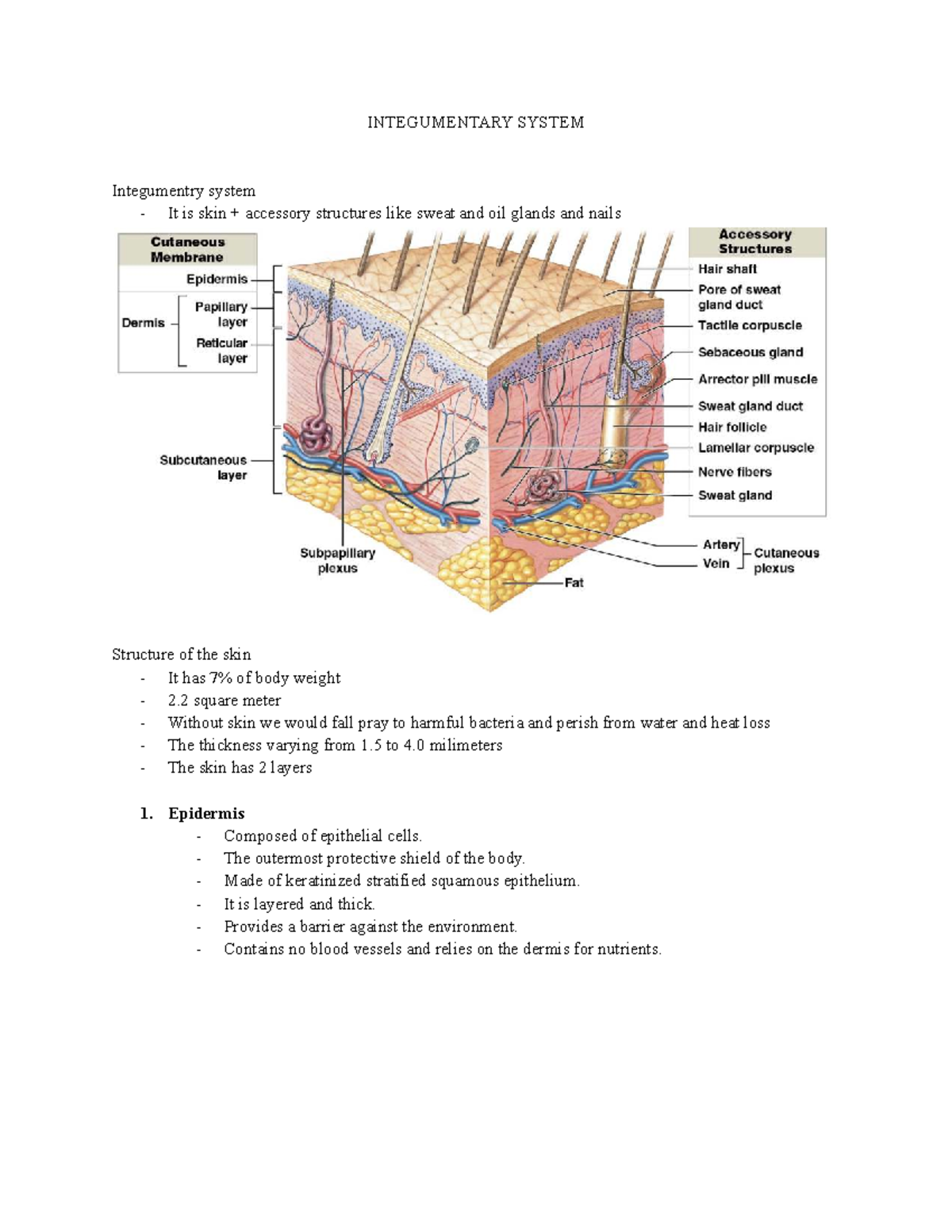 ANP 1106 - Integumentary System Overview and Key Concepts - Studocu