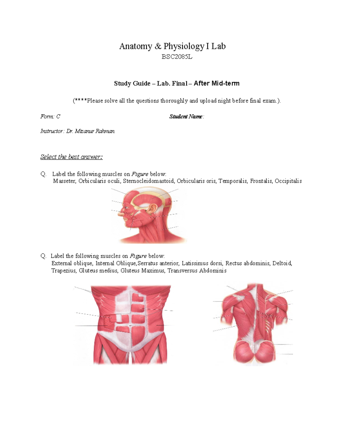 Final Exam Study Guide for PSY 201: Introduction to Psychology ...