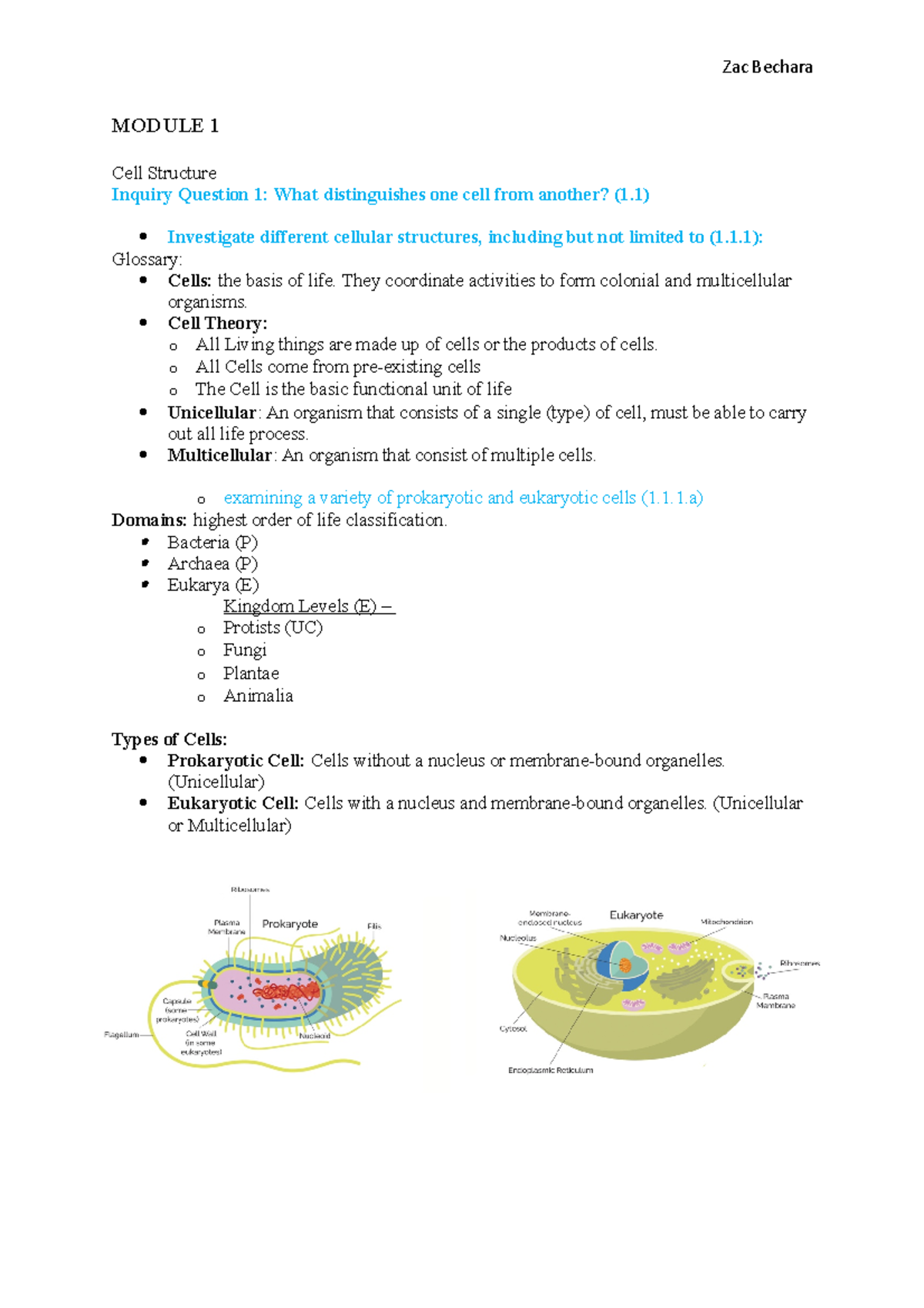 Module 1 - Comprehensive Guide to Cell Structure and Function - Studocu