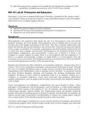 Protein Synthesis and Codons Practice fillabe-1 - Protein Synthesis and ...