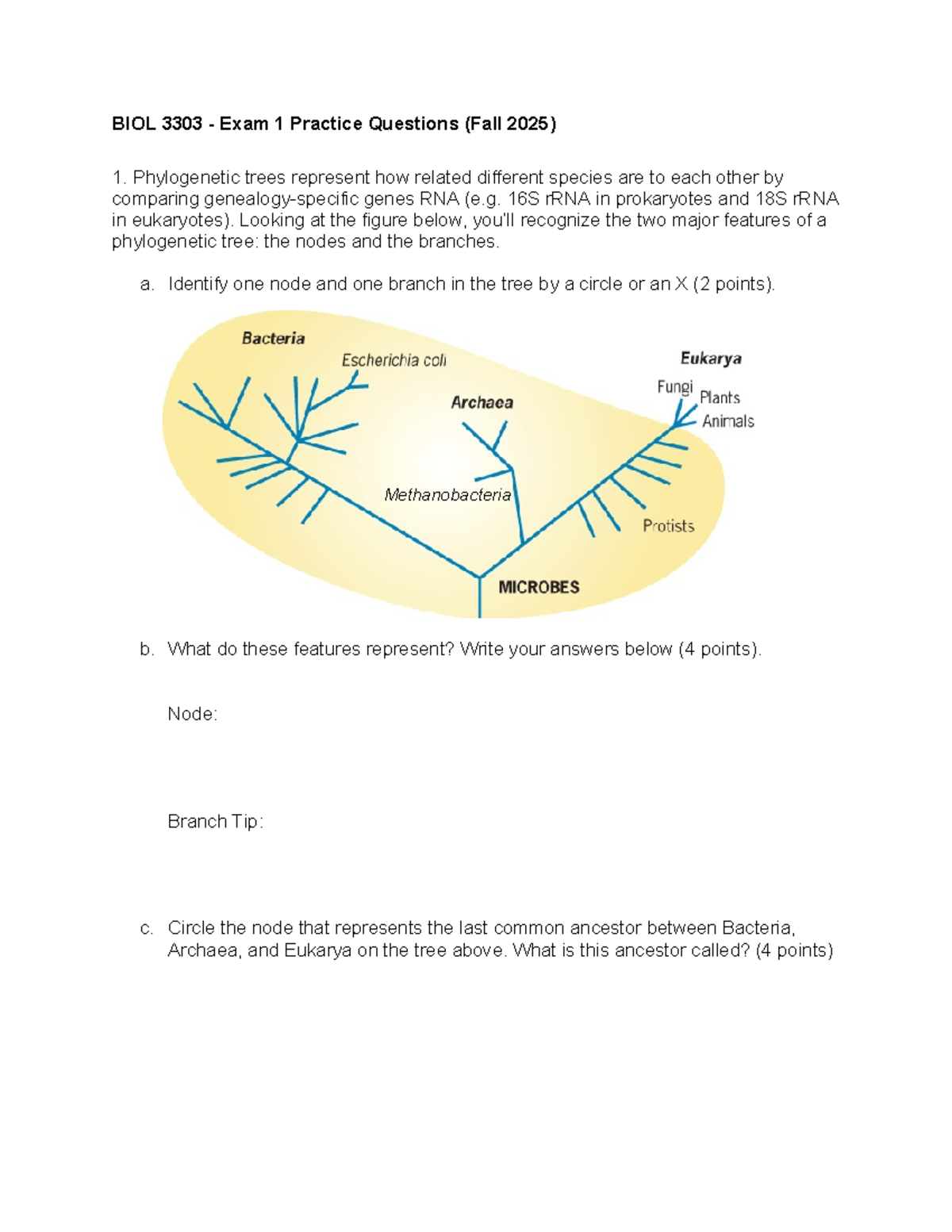 BIOL 3303 - Fall 2025 Exam 1 Practice Questions on Phylogenetics - Studocu