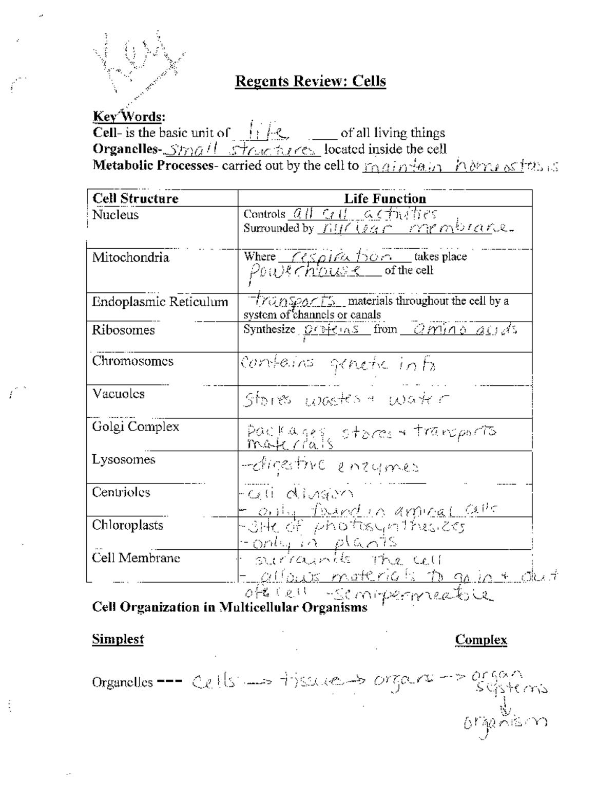 Regents Review: Study Guide on Cell Structure and Function - Studocu