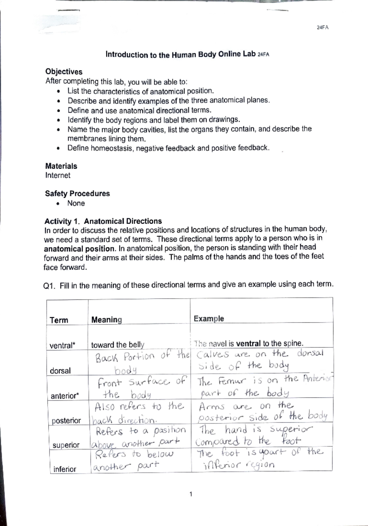 Adobe Scan Sep 1, 2024 - Chapter 4 lesson 6 - ·-. Introductiontothe ...