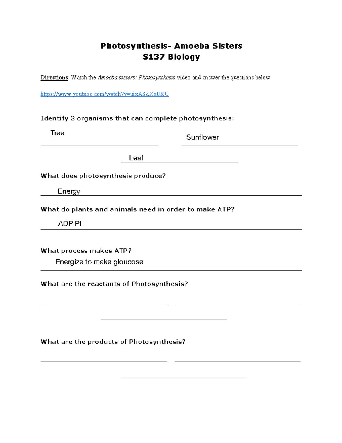 Photosynthesis Study Guide - S137 Biology - Amoeba Sisters Video - Studocu