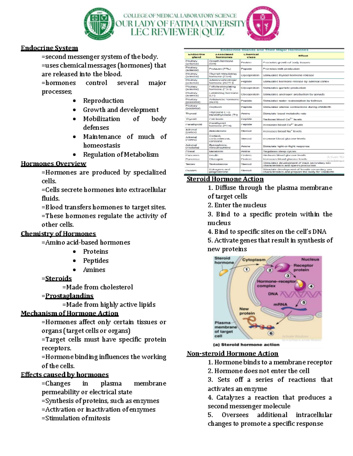 Endocrine System Overview: Final Exam Notes (Course Code: Endocrine ...