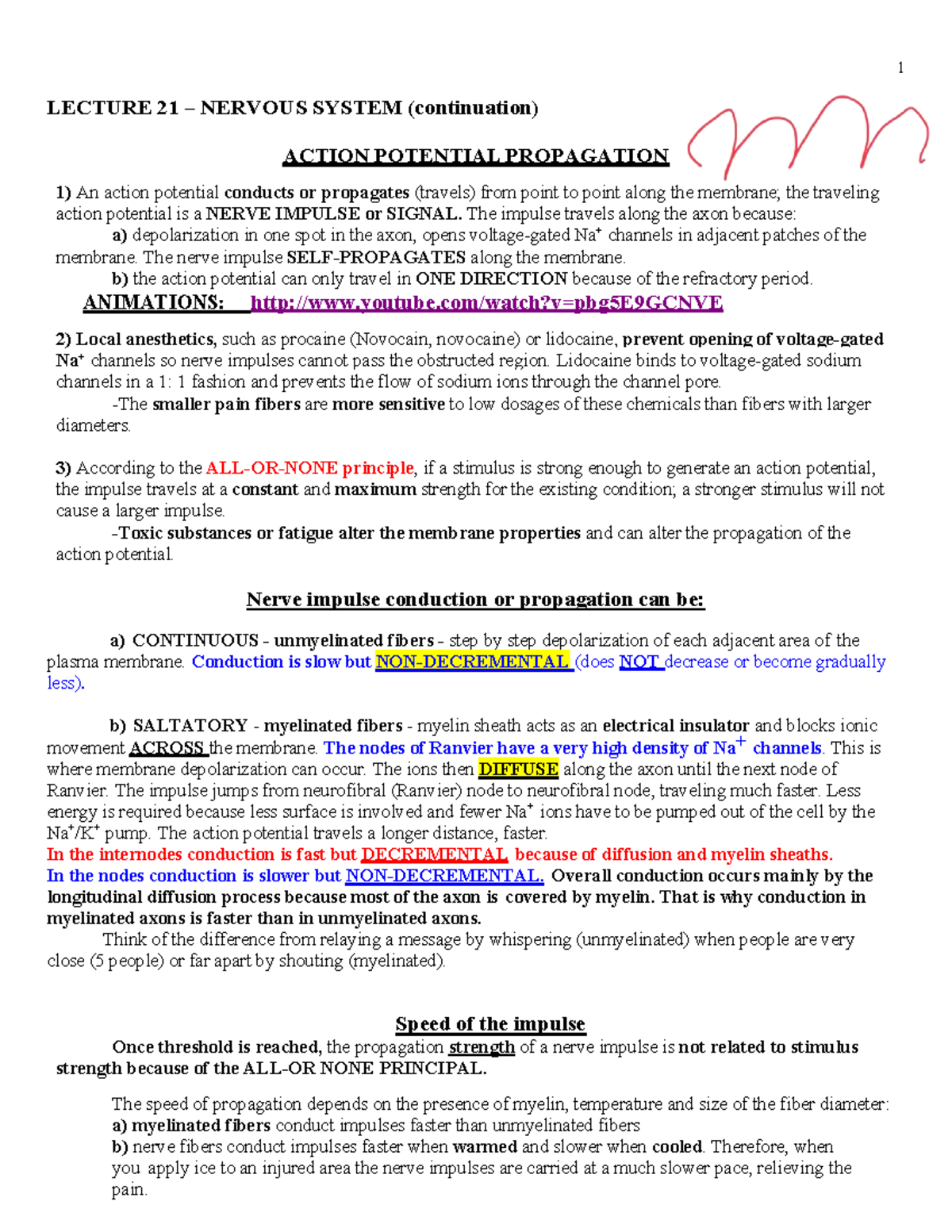 21F25 LECTURE 21 NERVOUS SYSTEM: Action Potential Propagation - Studocu