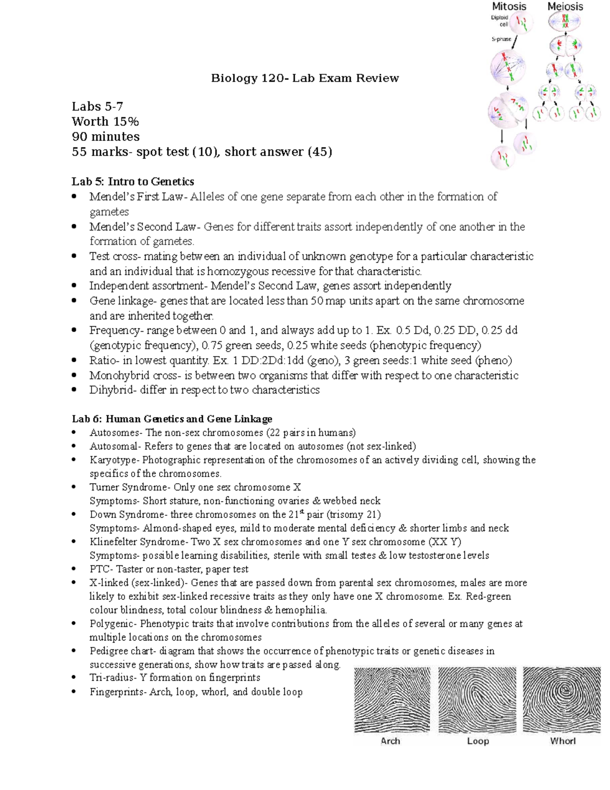 Biology 120 Lab Exam 2 Review - Biology 120- Lab Exam Review Labs 5 ...
