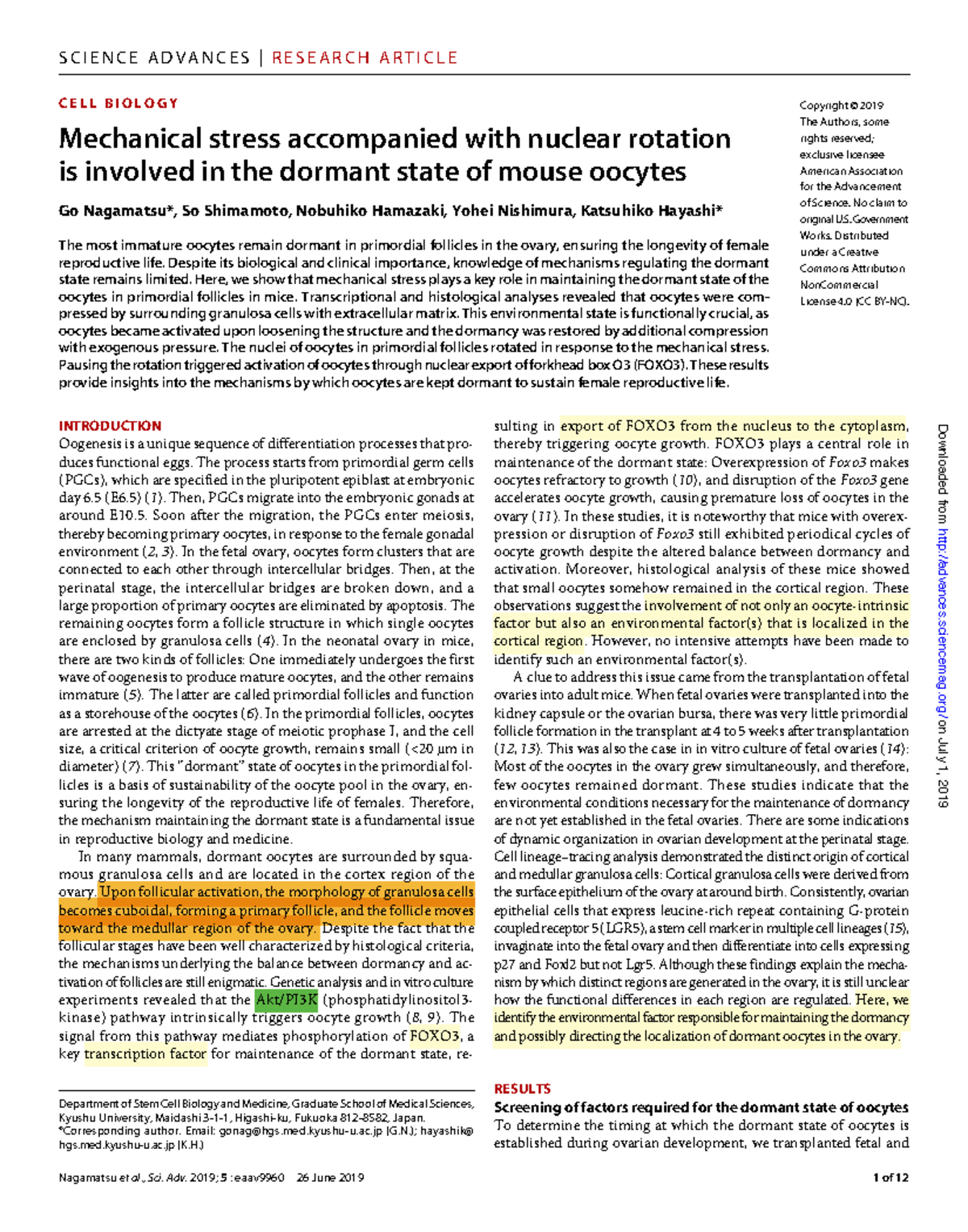 Mechanical stress and nuclear rotation in dormant mouse oocytes (SCI ...