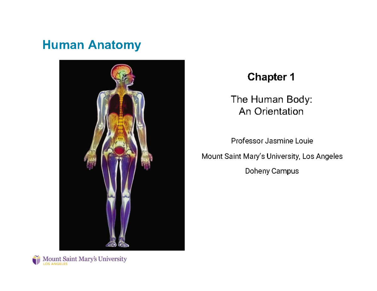 Bio50A Human Anatomy: Chapter 1 - The Human Body Orientation - Studocu