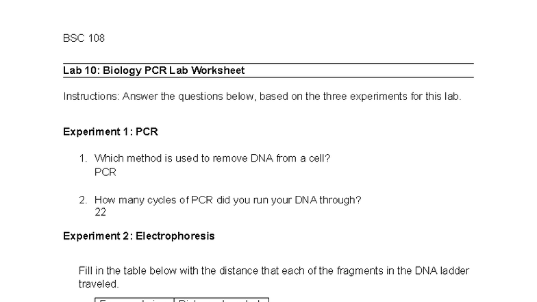 BSC 108 Lab 10: PCR and Electrophoresis Worksheet Instructions - Studocu