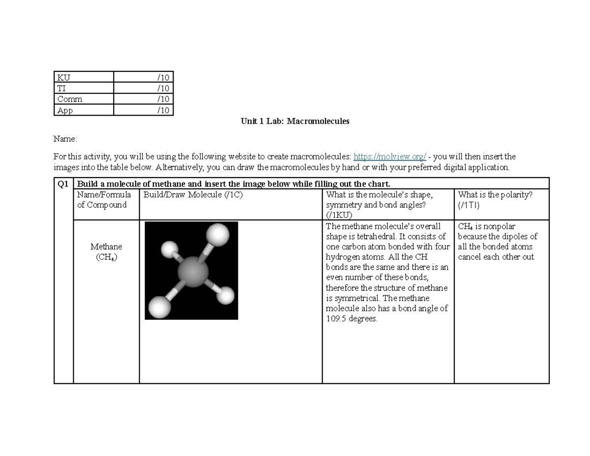 SBI 4U - Unit 1 Lab: Exploring Macromolecules and Their Properties ...