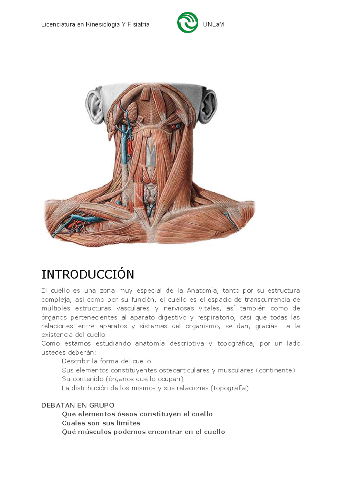 Anatomía del Cuello: Contenido y Estructura - Lic. en Kinesiología ...