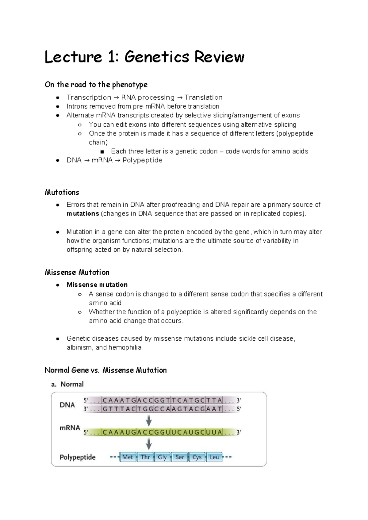 Lecture 1: Genetics Review - Phenotypes, Mutations & Transcription ...