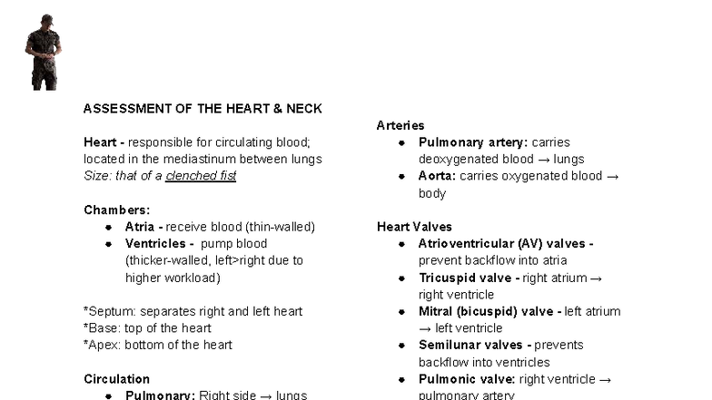 HEART ASSESSMENT NOTES - MEDICAL 101 - Studocu