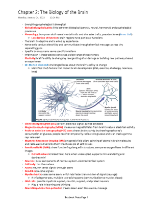 Learning Theories: Classical, Operant, and Observational Principles ...