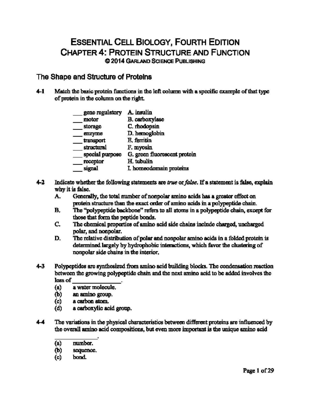 Bio Exam 1: Protein Structure & Function - Chapter 4 Notes - Studocu