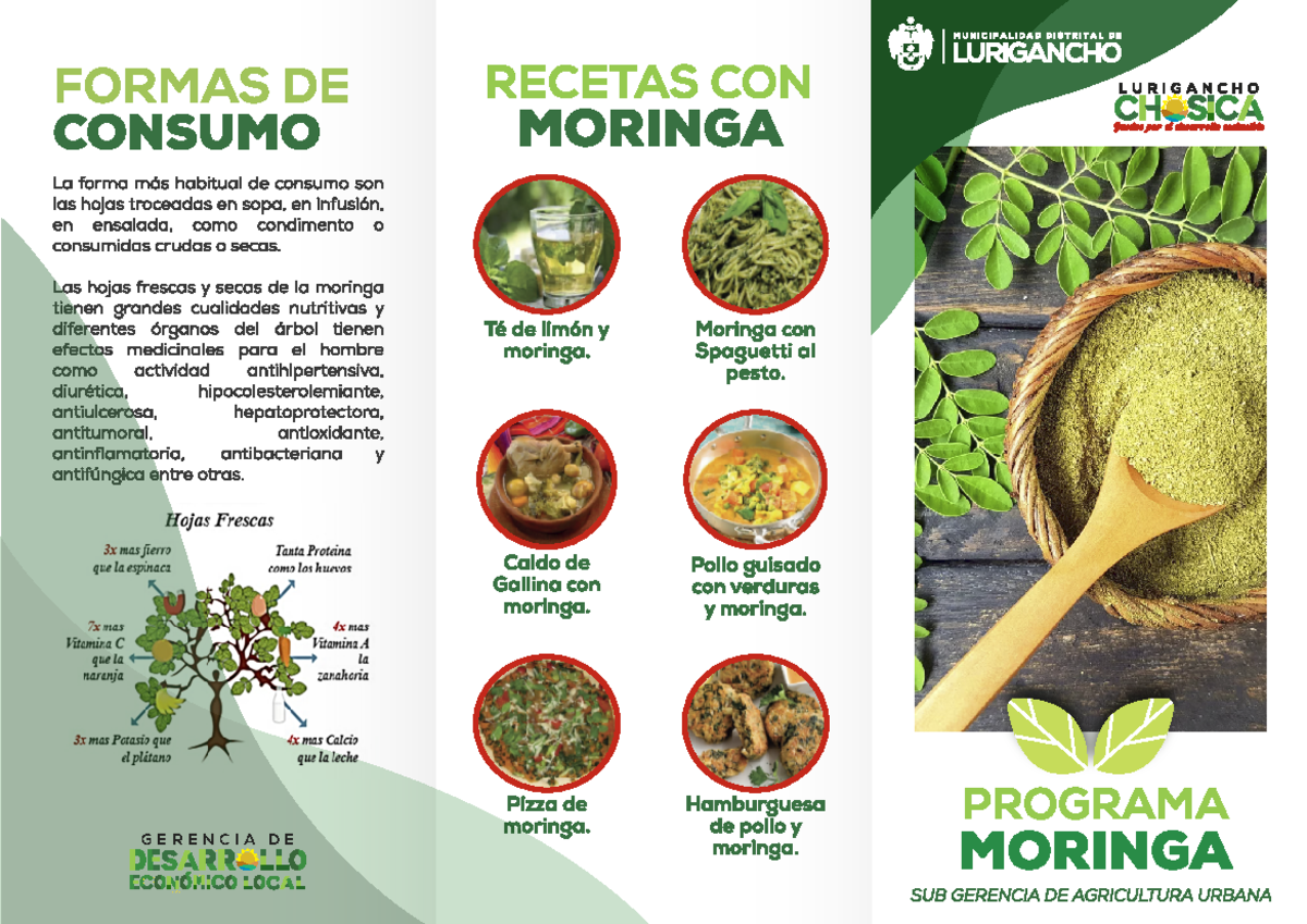 Triptico - Moringa: Beneficios y Propiedades de Hojas - Studocu