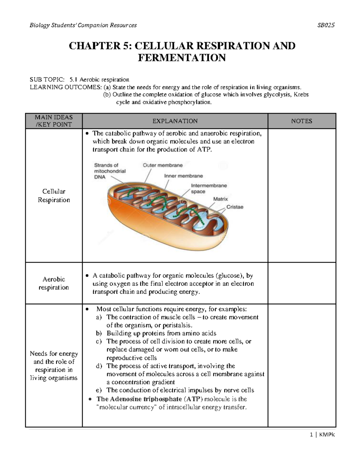 SB025 Chapter 5: Cellular Respiration & Fermentation Notes - Studocu