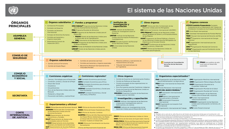 Organigrama de la ONU: Estructura y Funciones Clave - Studocu